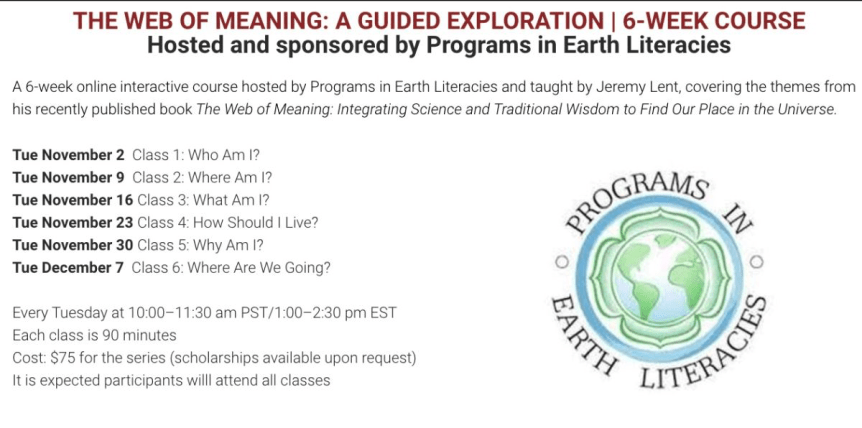 Patterns of Meaning – Exploring the patterns of meaning that shape our ...